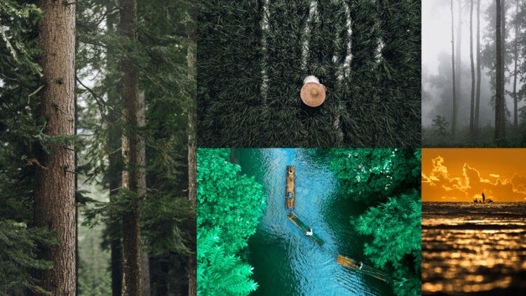 Nihab Rahman: Capturing the Beauty of Bangladesh - Tinds